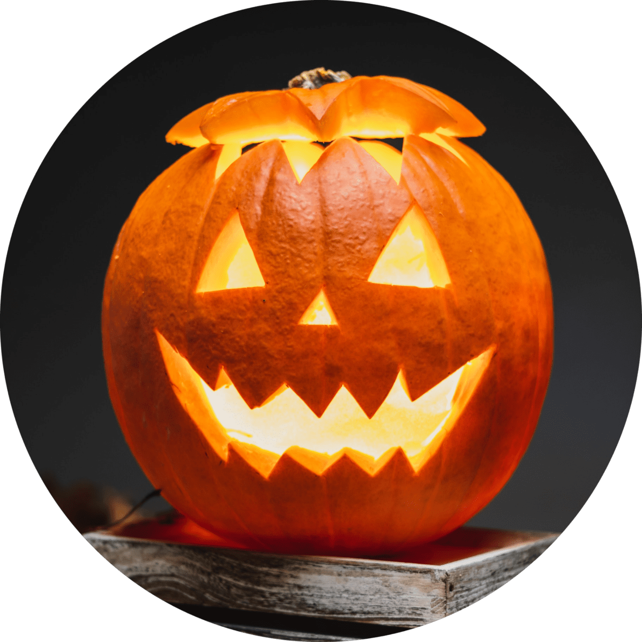 Fun Fall Time Activities | Urban Gardens | Kirksville, MO